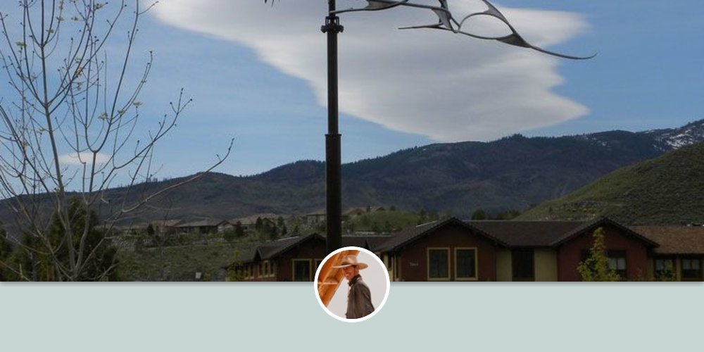 GOLDEN EAGLE by Bryan Tedrick Sculpture seen at Reno, Reno | Wescover