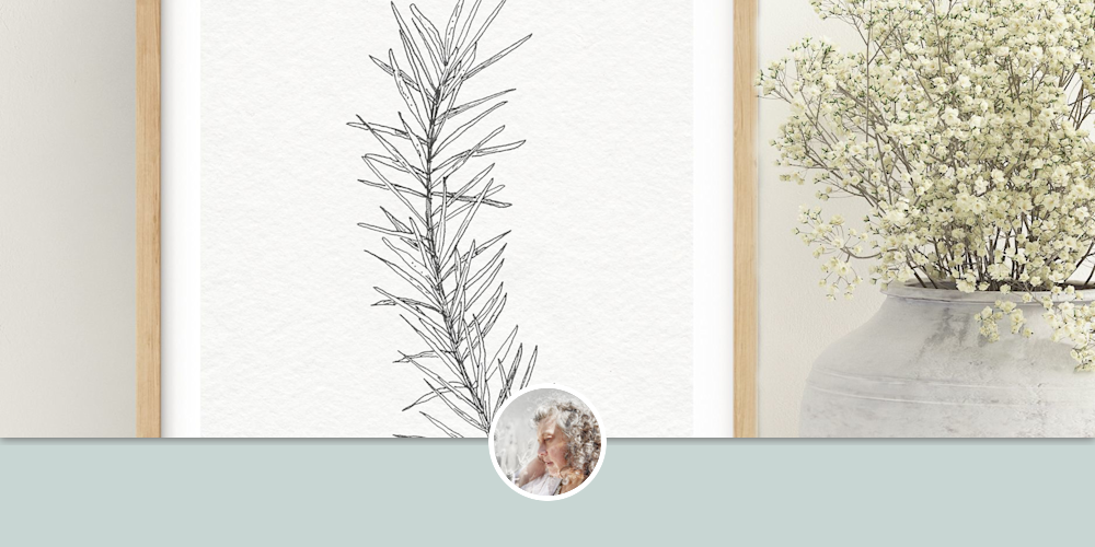 Pine Branch Sketch - Botanical Pen and Ink Illustration Art by Jennifer ...