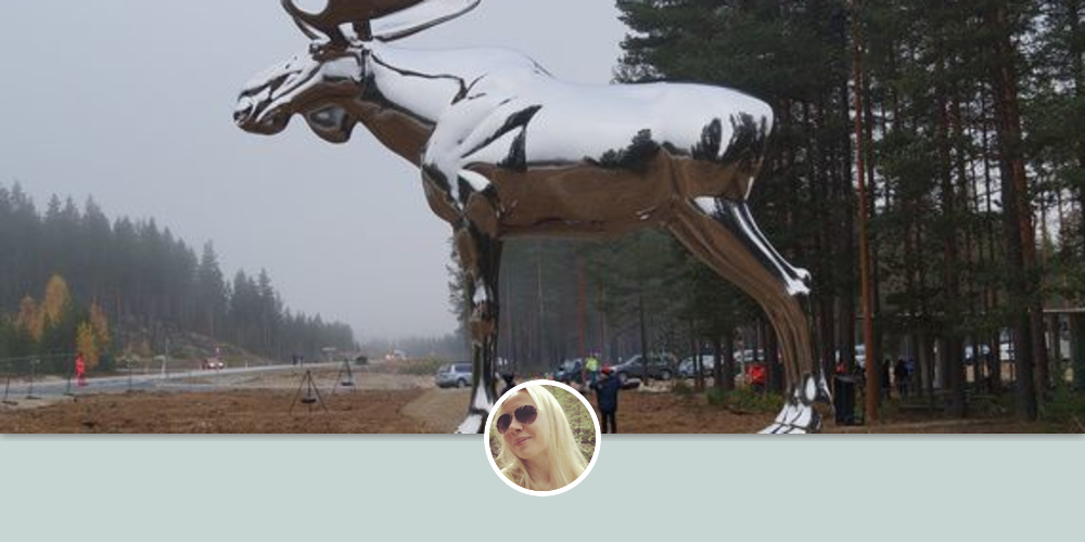 Storelgen / Big Moose / Elk by Linda Bakke Productions | Wescover ...