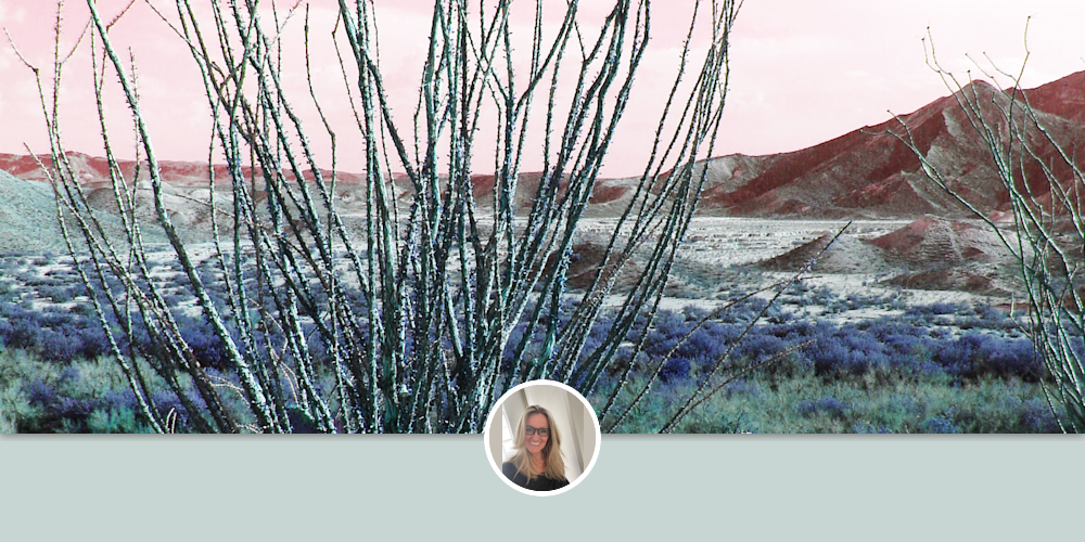 Crush of Blush by Sabine Senft | Wescover Photography
