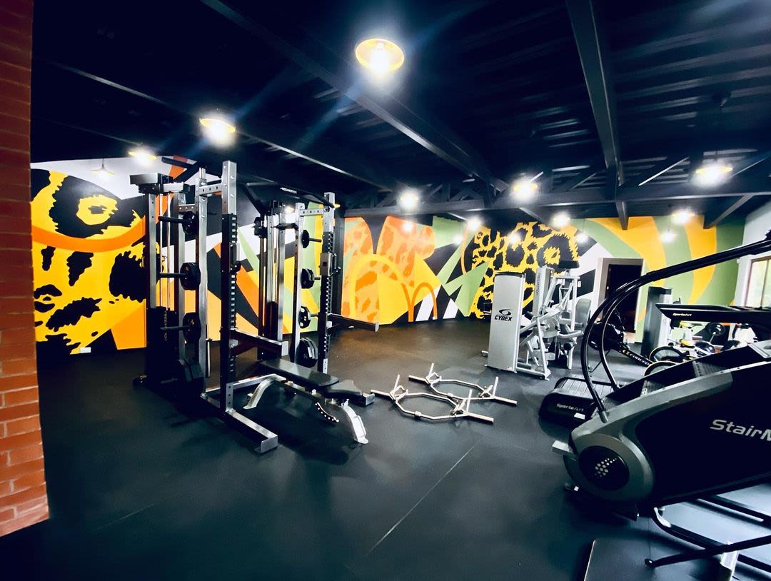 Movement Studio Mural by pepallama at Robin B Movement, Tamarindo ...