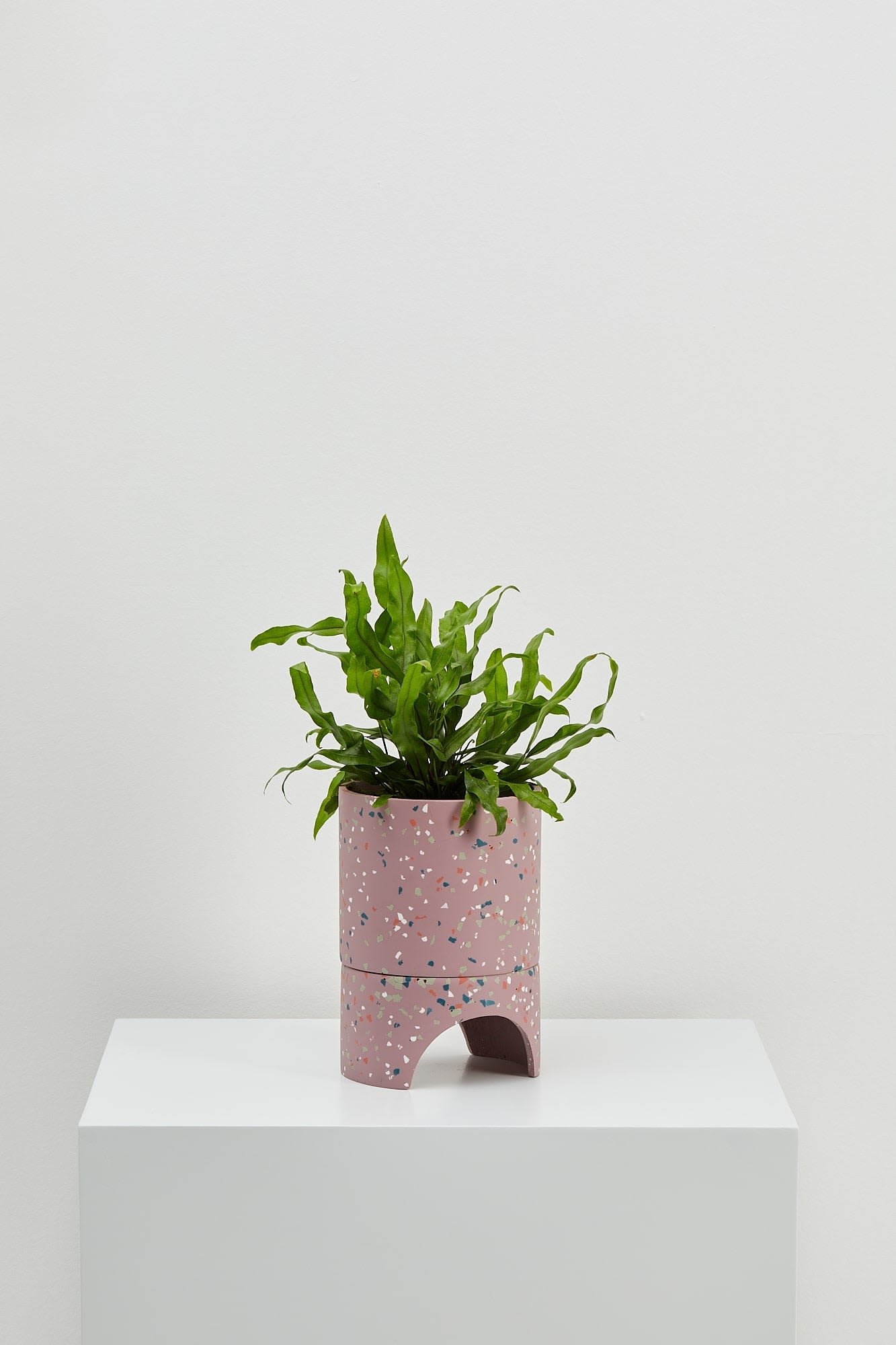 Archie Planter by Capra Designs | Wescover Planters & Vases