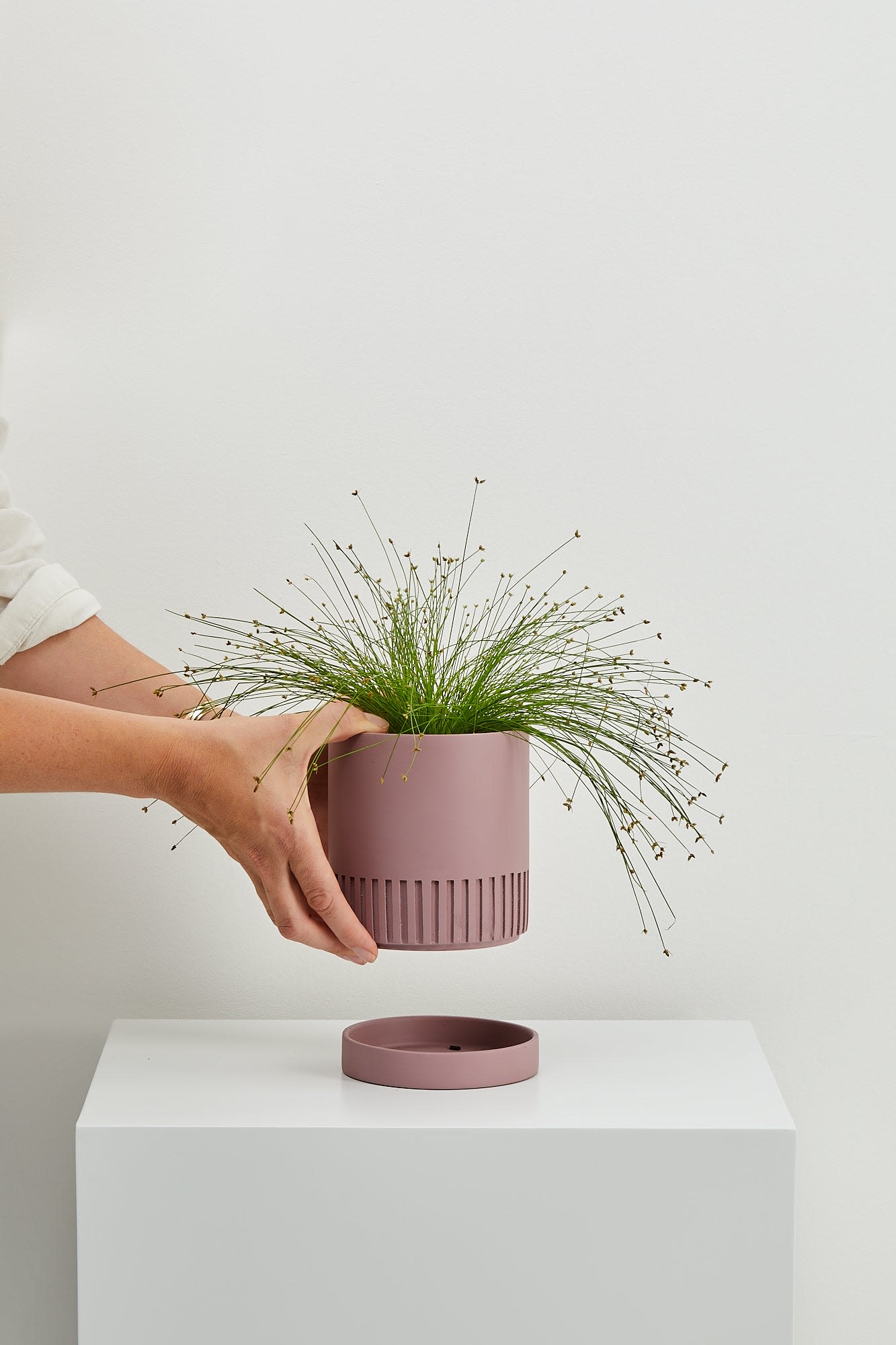 Etch Planter by Capra Designs | Wescover Planters & Vases