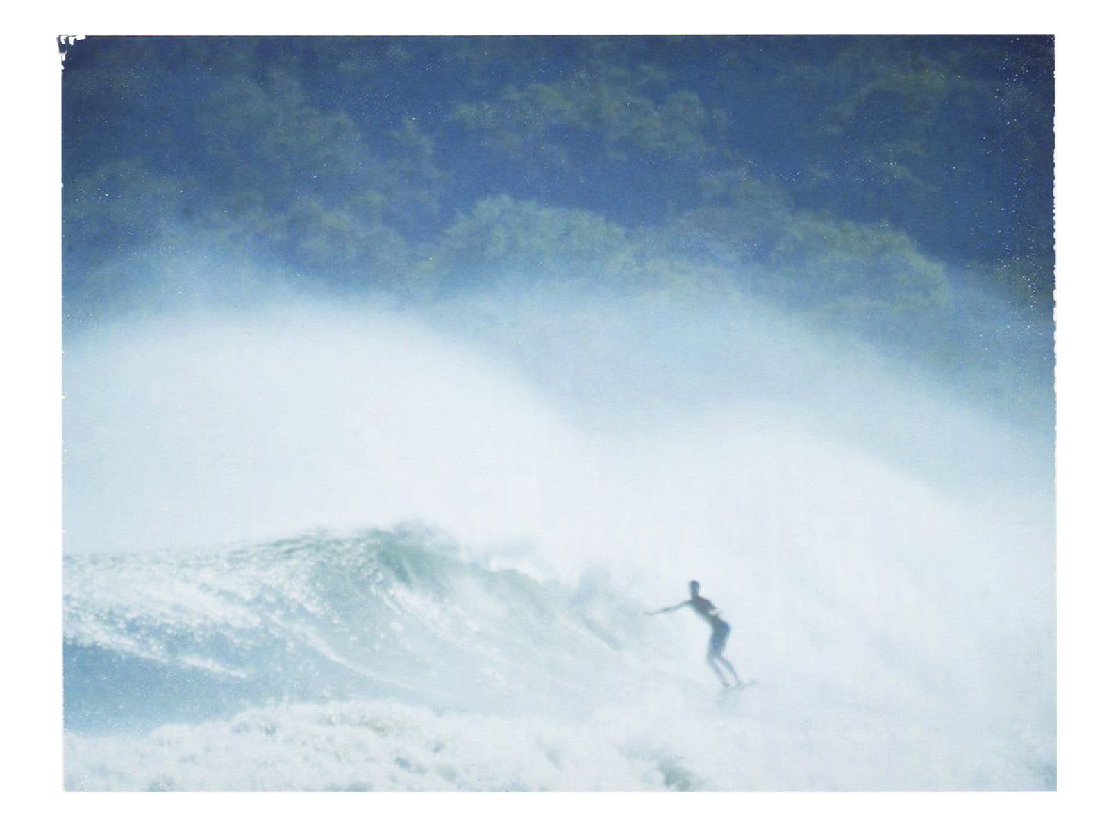 Blue Green + Magic (Costa Rica) by She Hit Pause | Wescover Photography