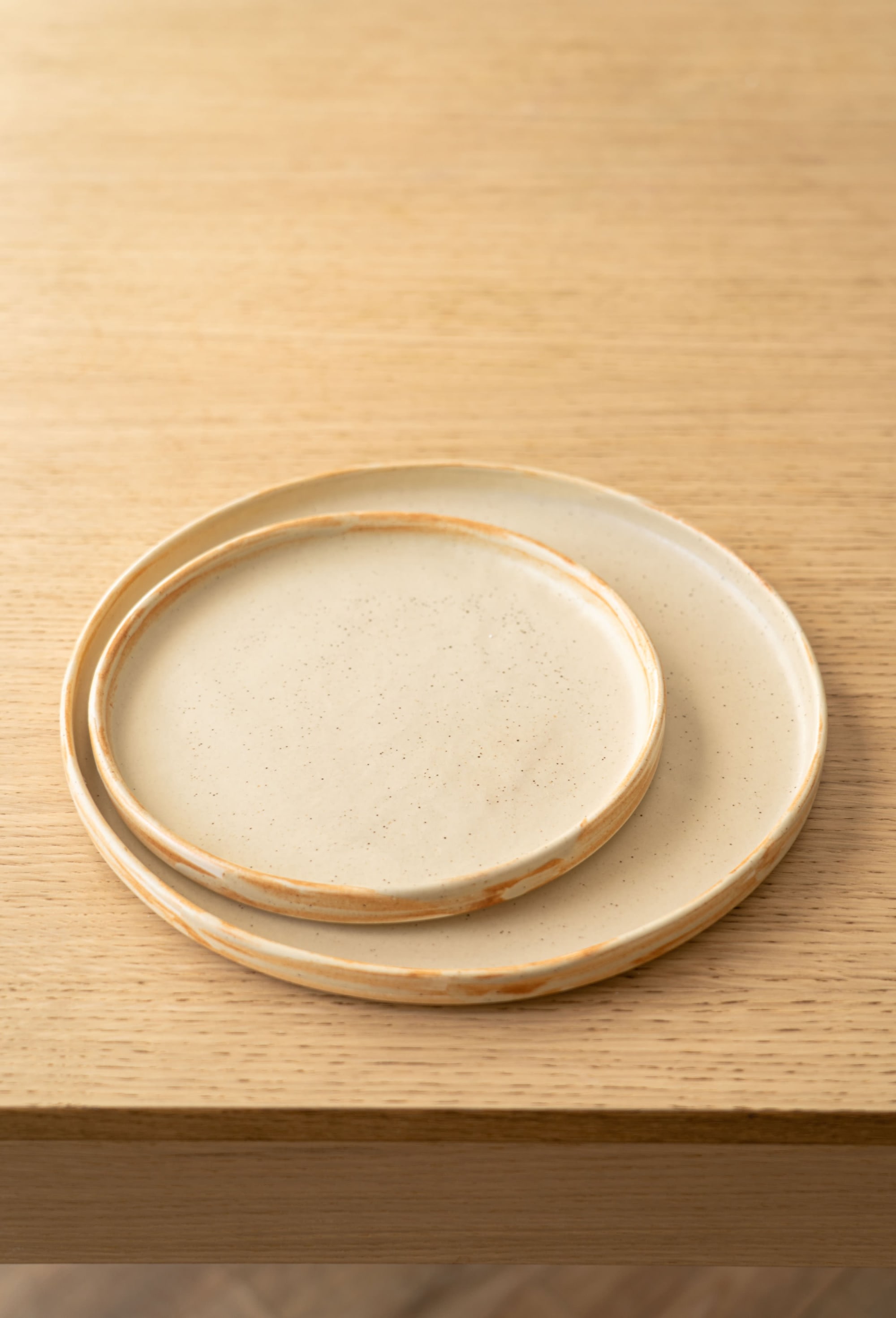 Beige Matte Stoneware Dinner Plates by Creating Comfort Lab | Wescover ...