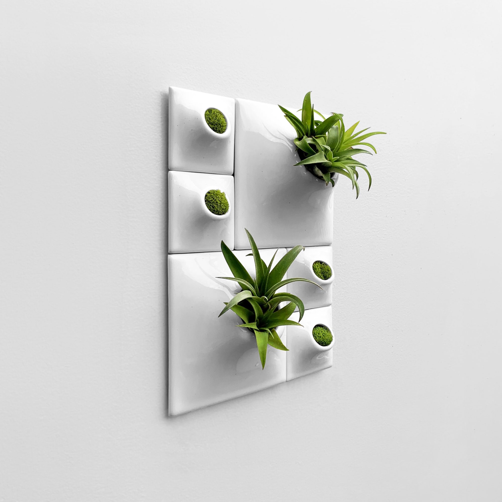 Modern Ceramic Wall Planter Set - Living Wall Art - Node by Pandemic ...