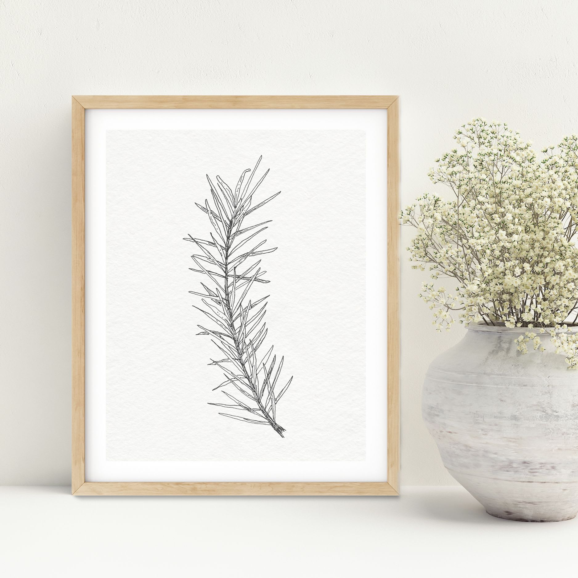 Pine Branch Sketch - Botanical Pen and Ink Illustration Art by Jennifer ...
