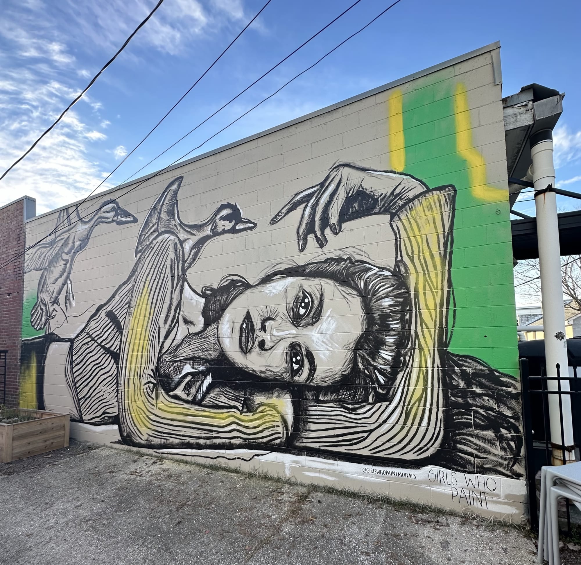 Odd Duck Market Mural by Christine Crawford | Christine Creates at Odd ...