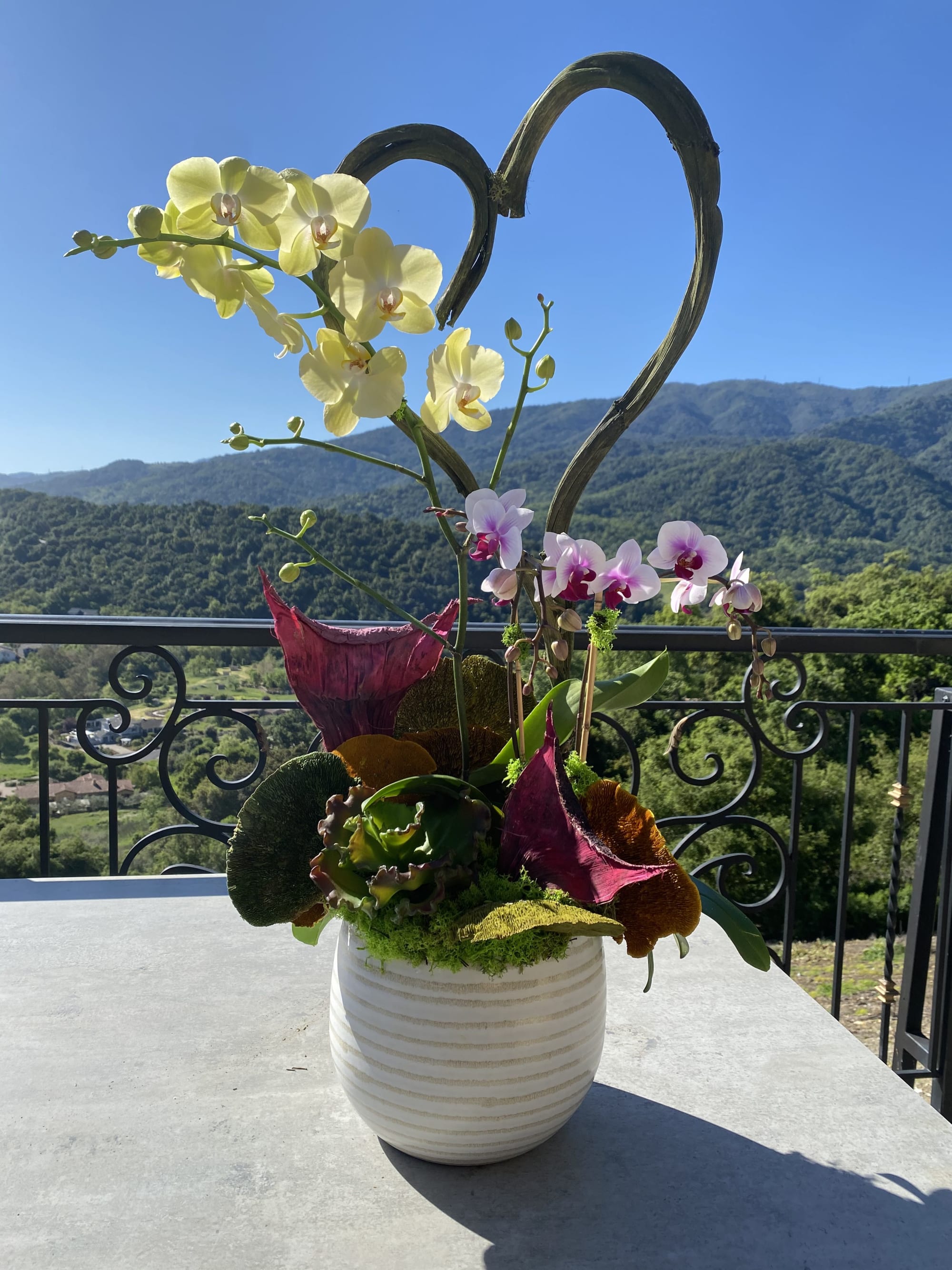 Spring Orchid arrangement by Fleurina Designs | Wescover Floral ...