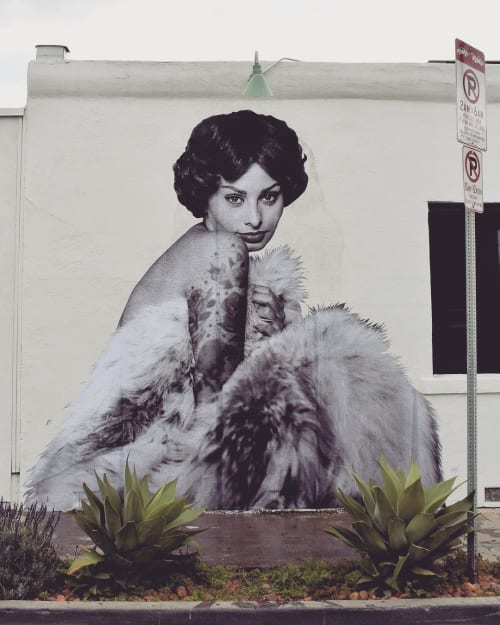 Explore Felix Design and Art | Wescover