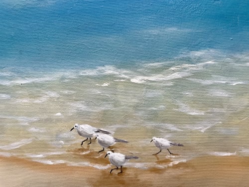 PEPS ARTS - Paintings and Art | Wescover