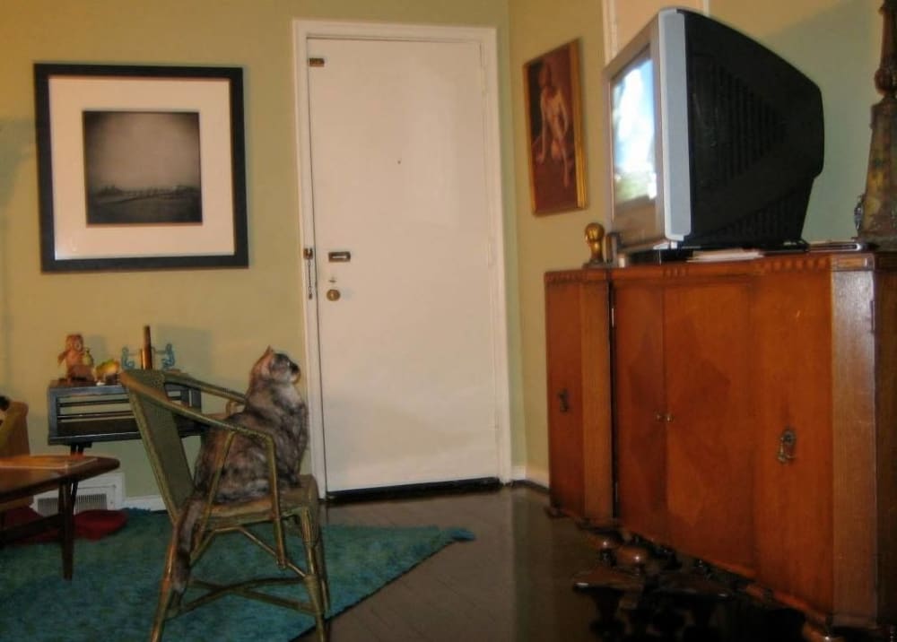 Photography by Craig Bromley | Wescover Photography