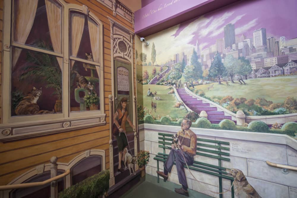 Tribute Mural to Honor Pets by Jennifer Ewing at San Francisco SPCA ...