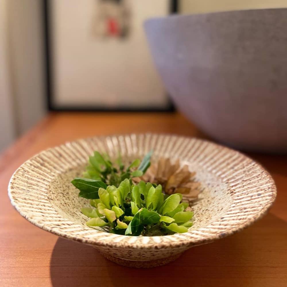 Carved Rim Ceramic Bowl by cursive m ceramics | Wescover Dinnerware