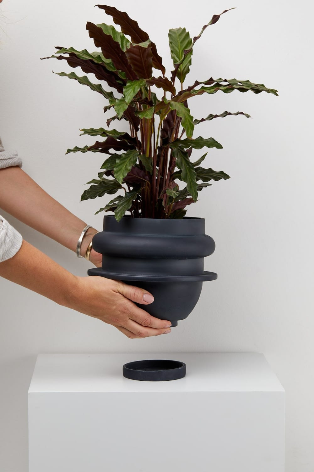 Bud Planter by Capra Designs | Wescover Planters & Vases