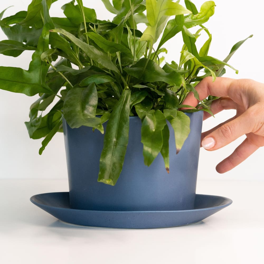 Native Oval Planter - Handmade Porcelain Planter by The Bright Angle ...