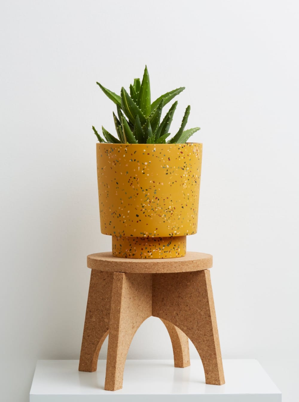 Banjo Planter and Cork Plant Stand Set by Capra Designs | Wescover ...