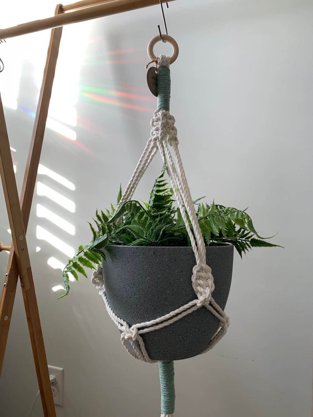 Chunky Plant Hanger by Rosie the Wanderer | Wescover Plants & Landscape