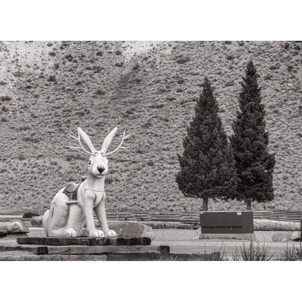 L. Blackwood - Jackalope by Farmhaus + Co. | Wescover Photography