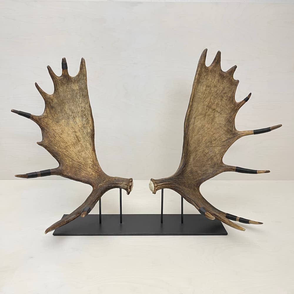Moose Paddle Sculpture by Farmhaus + Co. | Wescover Sculptures