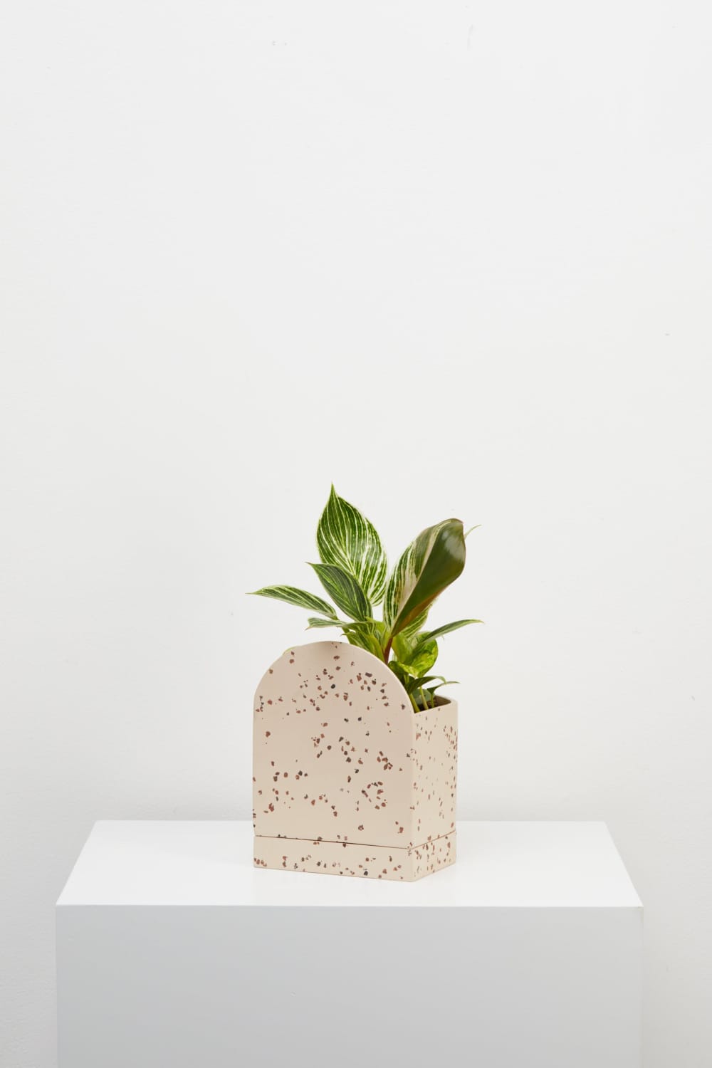 Sol Planter by Capra Designs | Wescover Planters & Vases