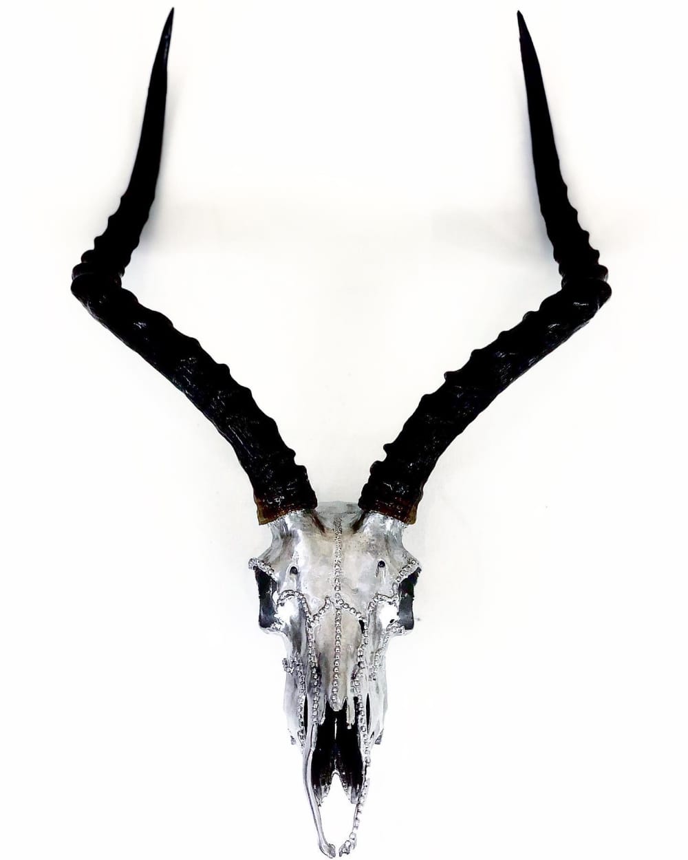 Impala African Skull by Gypsy Mountain Skulls | Wescover Decorative Objects