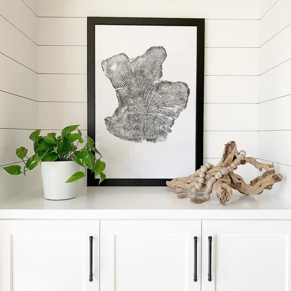 Tillamook, Oregon Tree by Erik Linton | Wescover Prints