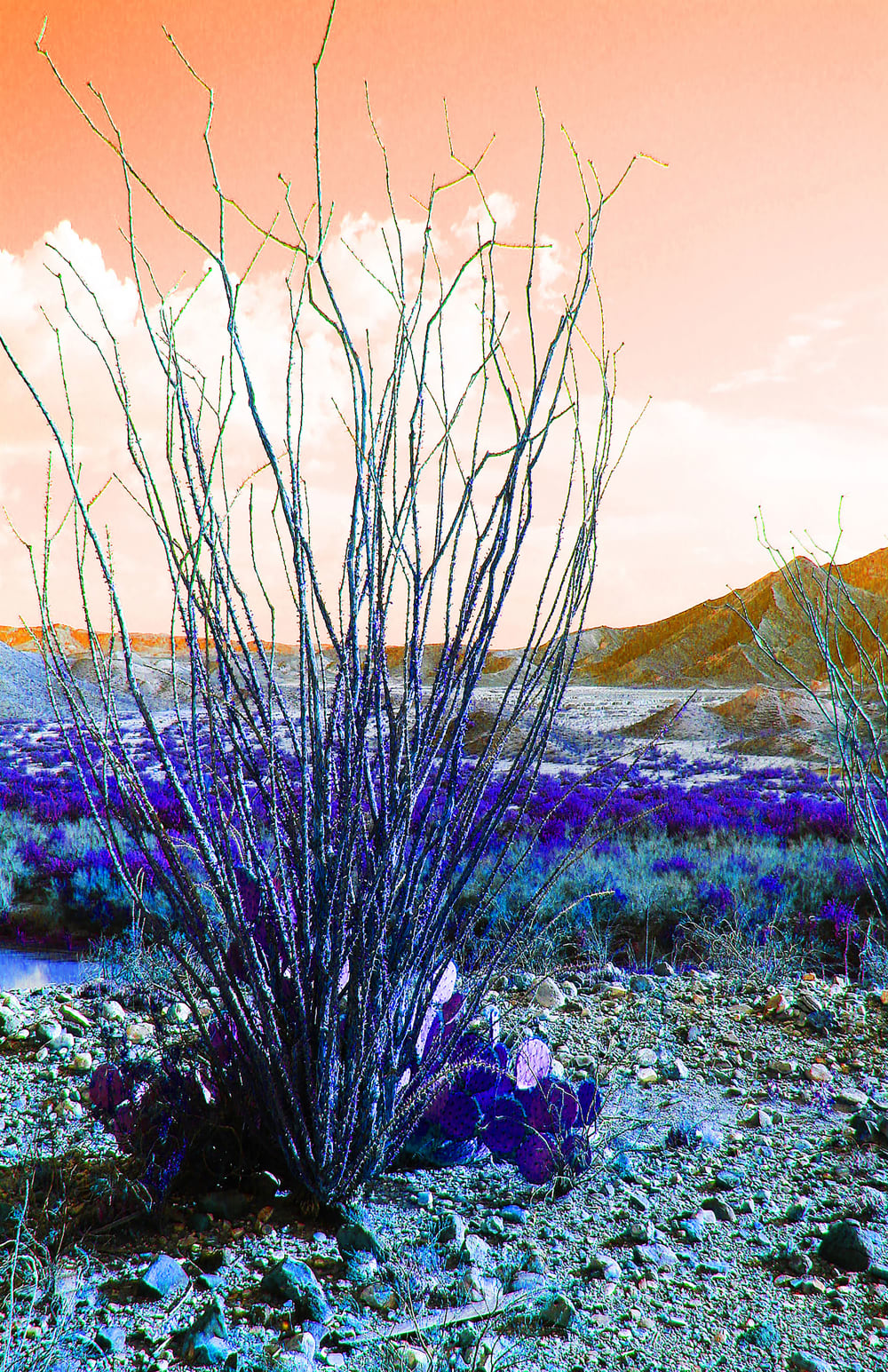 Hues of Blues by Sabine Senft | Wescover Photography