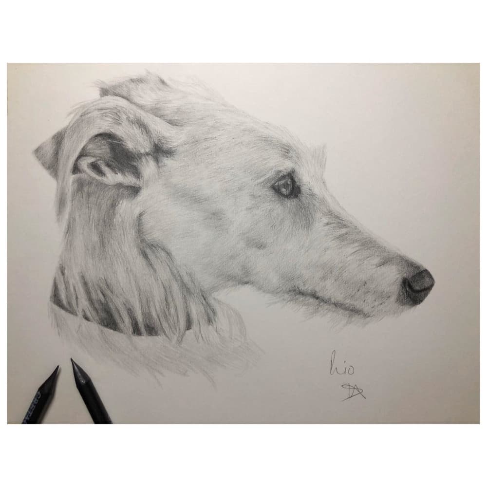 Pet Pencil Portrait by Lottie Anderson Studio at London, London ...