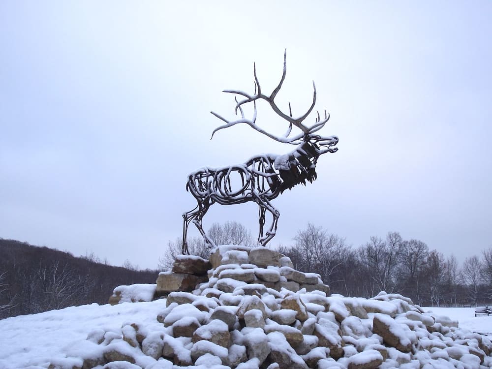 Elk Return by Wendy Klemperer Art Inc at St. Louis University Henry Lay ...