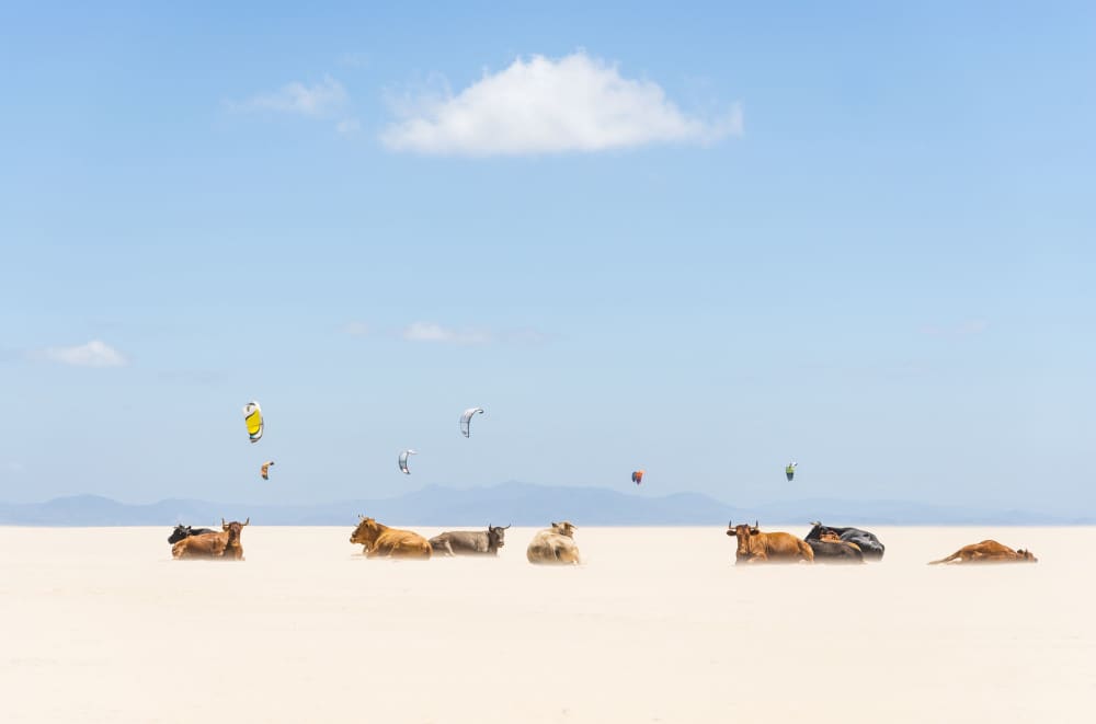 ANDREW LEVER - Photography and Prints | Wescover