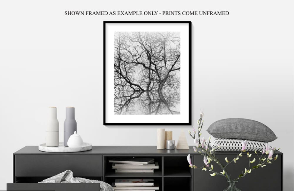 Woodland Flood, Original Black and White Photography Print by Nicholas ...
