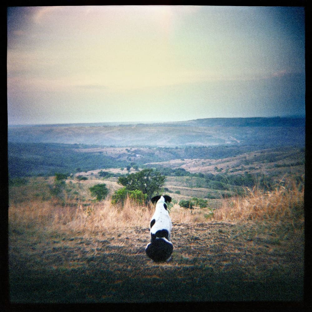 Craig Bromley - Photography and Prints | Wescover