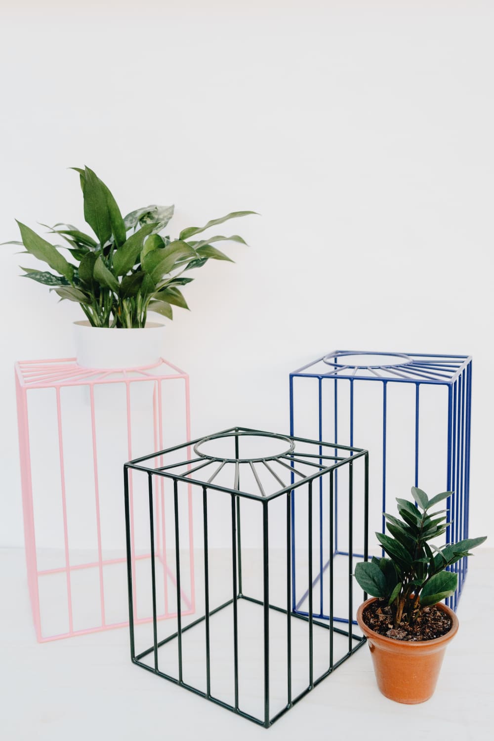 Sunbeam Plant Stand by Boonies Design + Fabrication | Wescover Plants ...