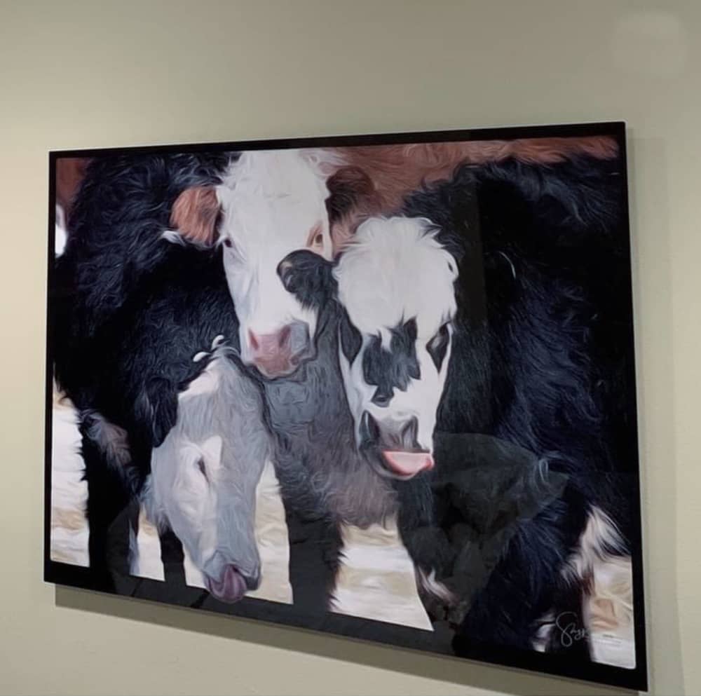 Moe Larry & Curly by Suzann Kaltbaum | Wescover Prints