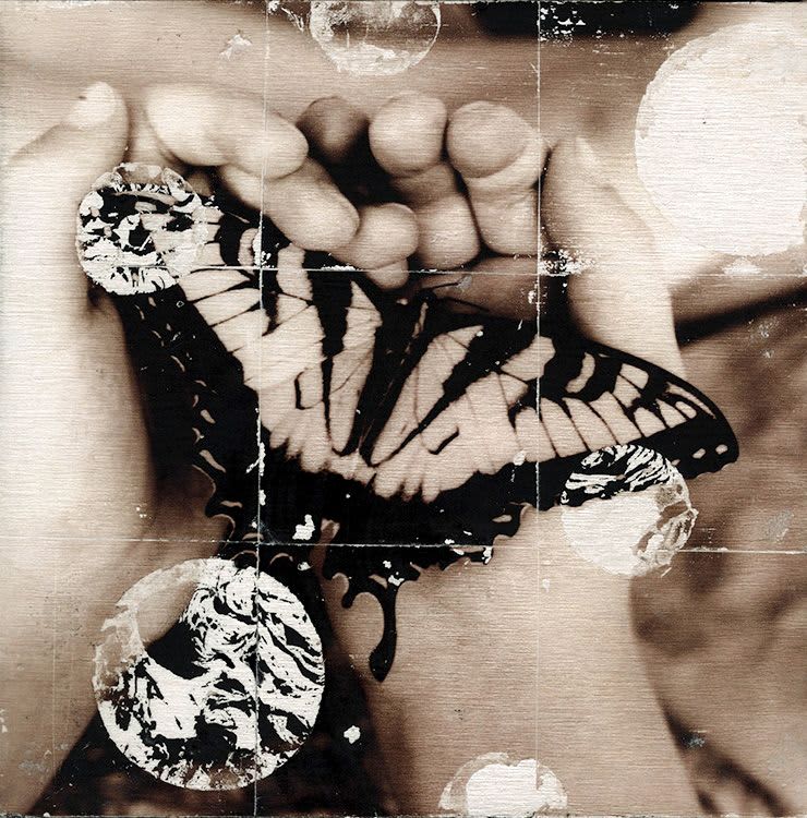 CRADLE by Pam Moxley Mixed Media | Wescover Photography