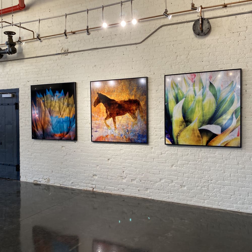 Craig Cutler by YJ Contemporary Fine Art at Arizona | Wescover Paintings