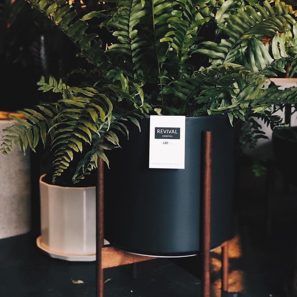 Revival Ceramics Planter with Stand by LBE Design at Hægur Plant Shop ...