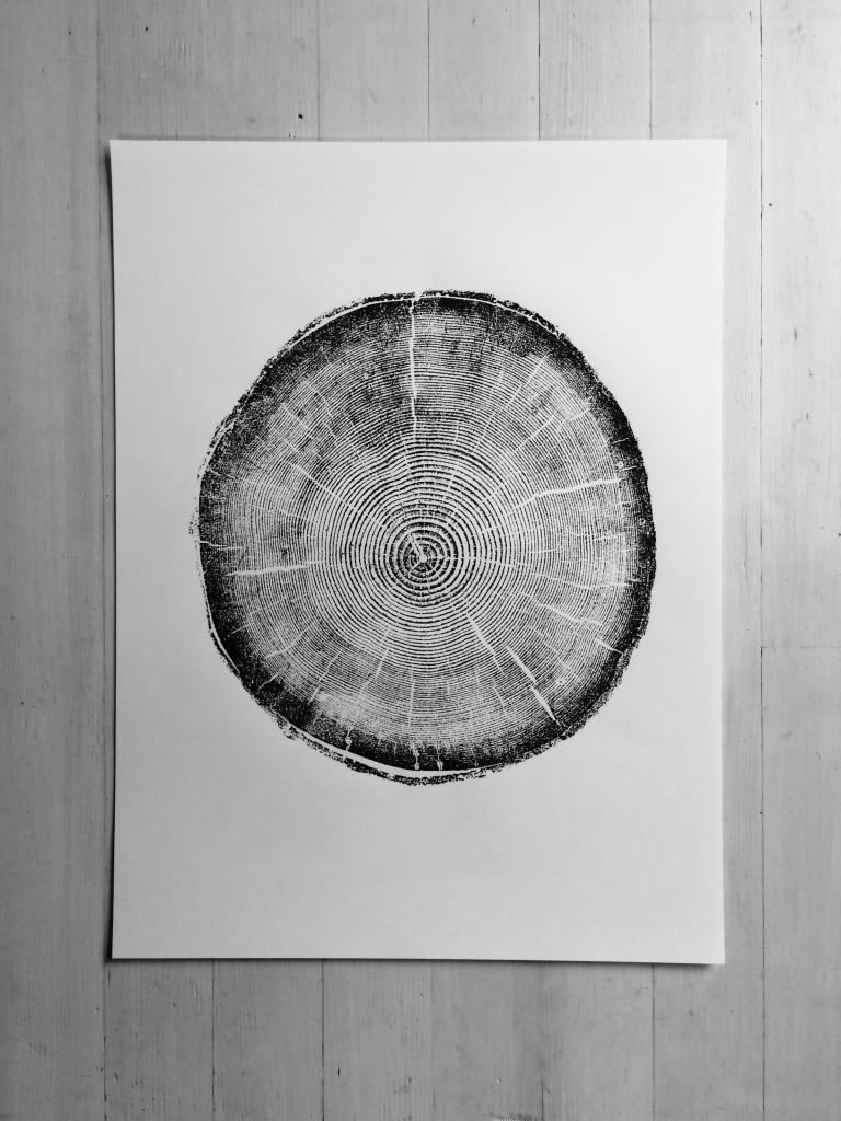 Big Cottonwood Canyon Utah Tree Print by Erik Linton | Wescover Prints