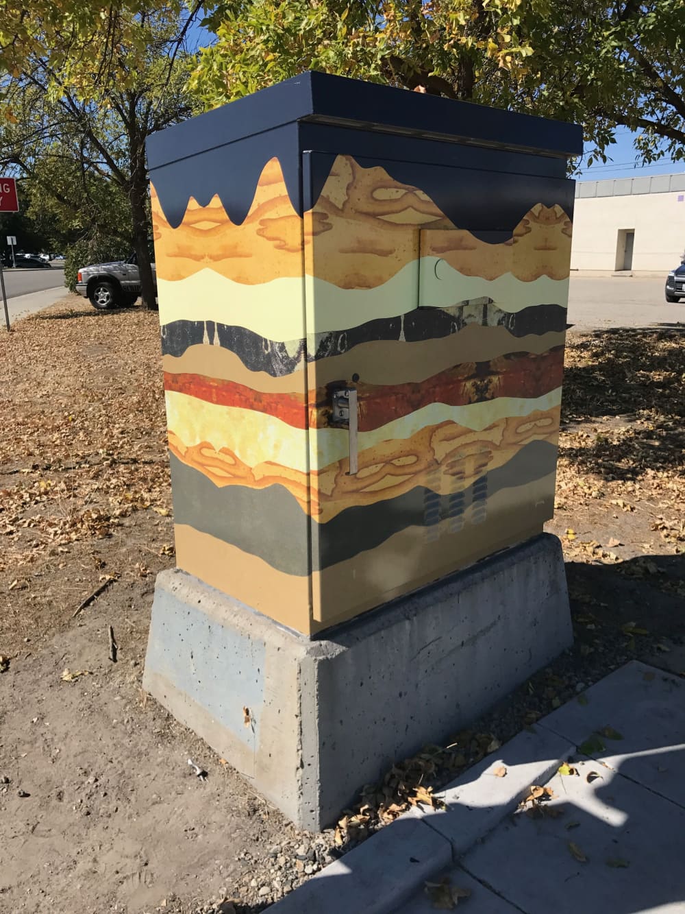 Boise Traffic Box Wrap by Lorelle Rau Studios | Wescover Street Murals