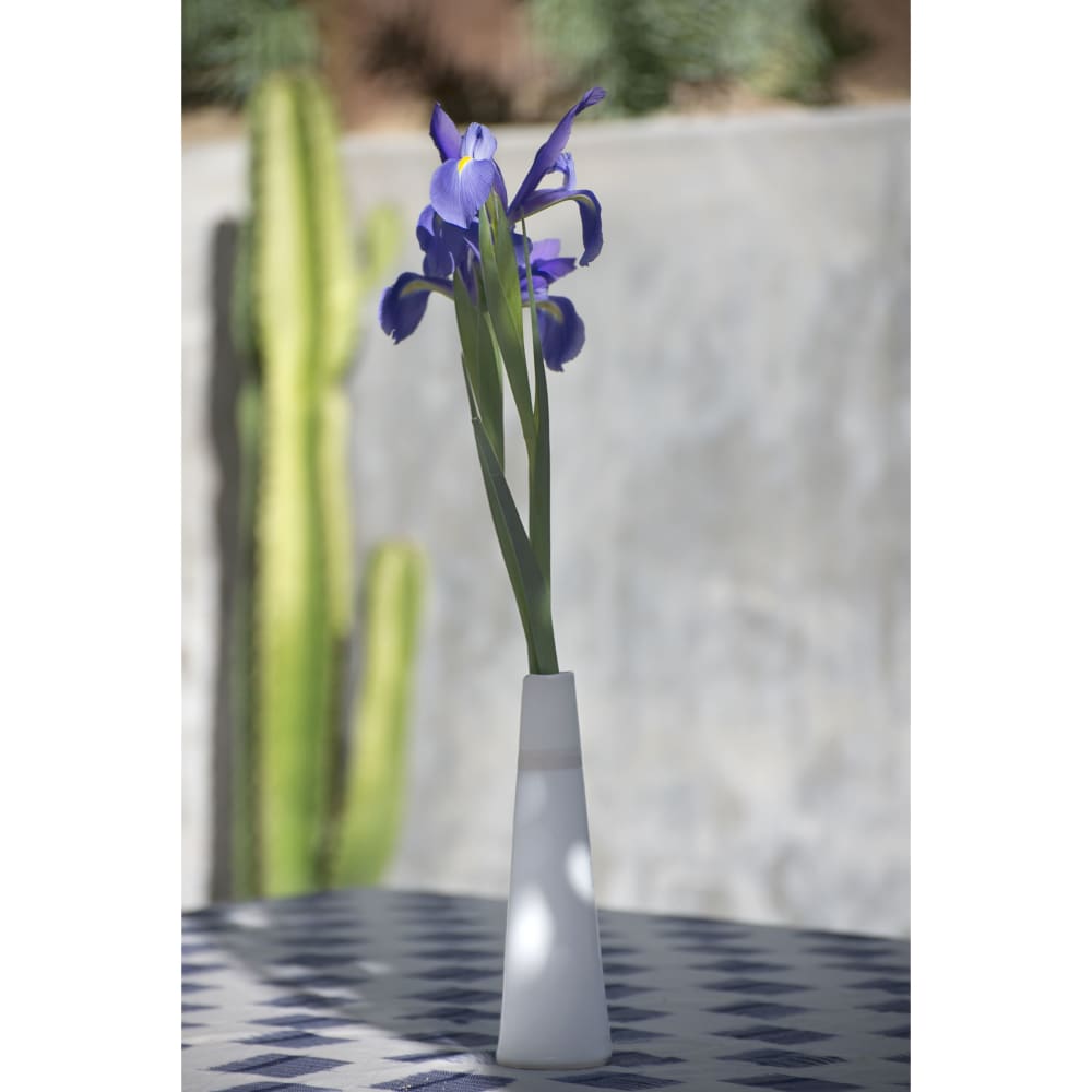 Tall "Conical" Vase by Nora Petersen Studio | Wescover Planters & Vases