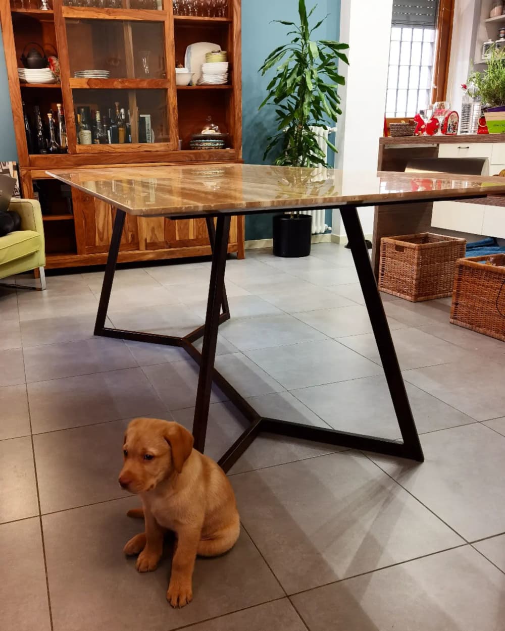 Trapeze TR4 Dining Table by DFdesignLab - Nicola Di Froscia | Wescover ...