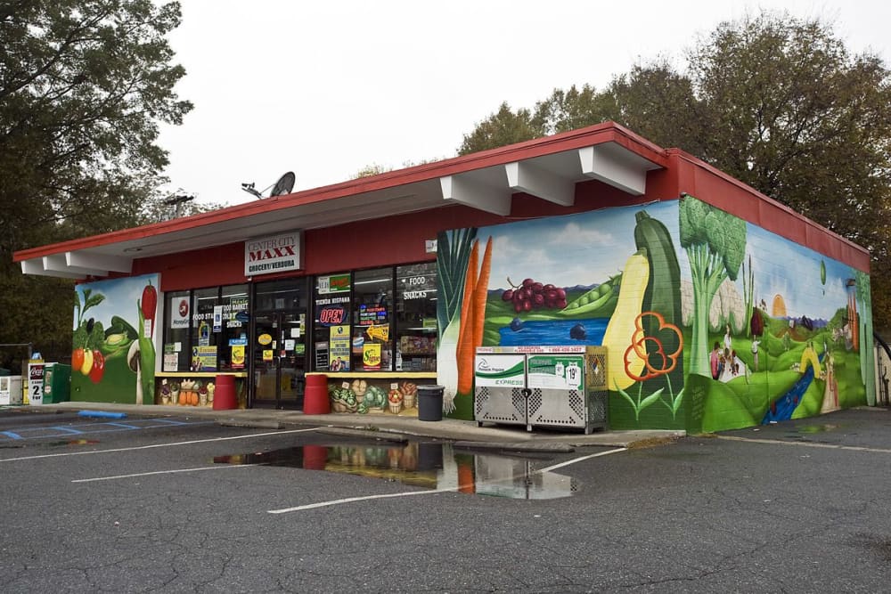 Healthy Eating Mural by Brenda Mauney Councill Councill Fine Art Studio ...