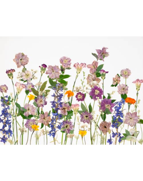 Garden Ground View by Sarah Ebert Art | Wescover Art