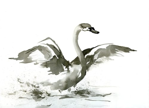 Cygnet by Brazen Edwards Artist | Wescover Prints