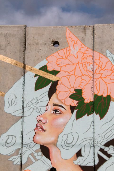 Asian Horse Mural: Exterior Concrete by JUURI | Wescover Murals