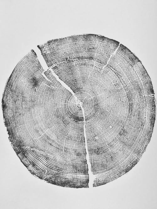 Tree Ring Art by Erik Linton at Four Seasons Hotel San Francisco, San ...