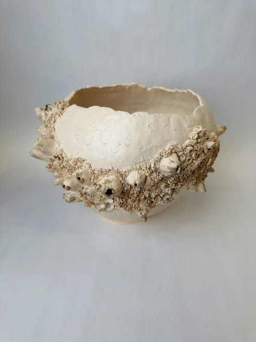 Large barnacle bowl by Anna Altman | Wescover Decorative Objects