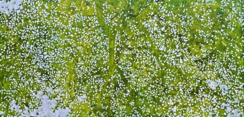 David Kidd - Paintings and Art | Wescover