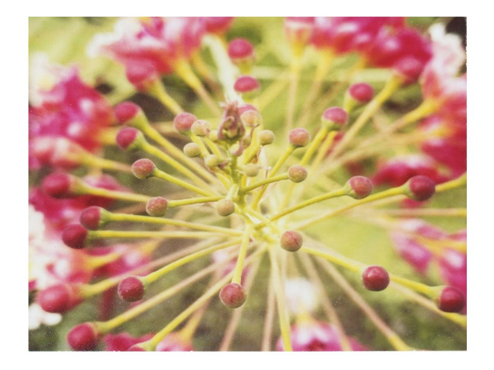 Pretty Pink Planets by She Hit Pause | Wescover Photography